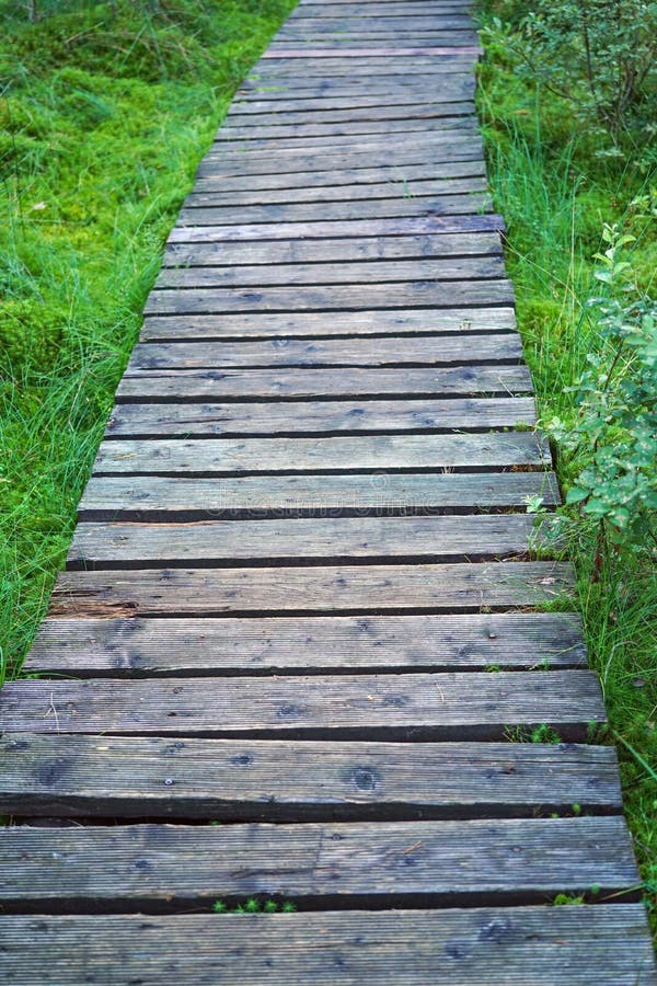 Wooden Pathway in Peat Bog Nature Reserve Stock Photo - Image of ...