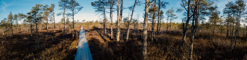 Wooden Pathway in Quagmire in the Morning Stock Photo - Image of lake ...