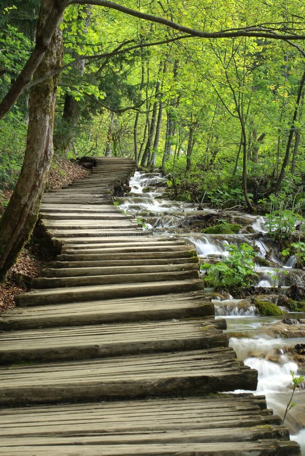 Mountain Steps stock image. Image of carolina, green, path - 141291