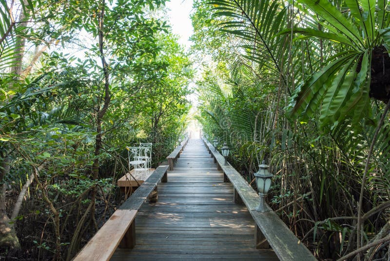 Wooden Pathway Bridge with Thatch Cottage Illumination Stock Image ...
