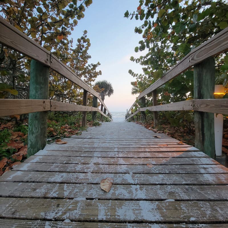 Wooden pathway to beach stock image. Image of ruins - 219646271
