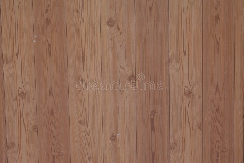 A Clean and Seamless Plywood Wood Texture. Different Wooden Textures of ...