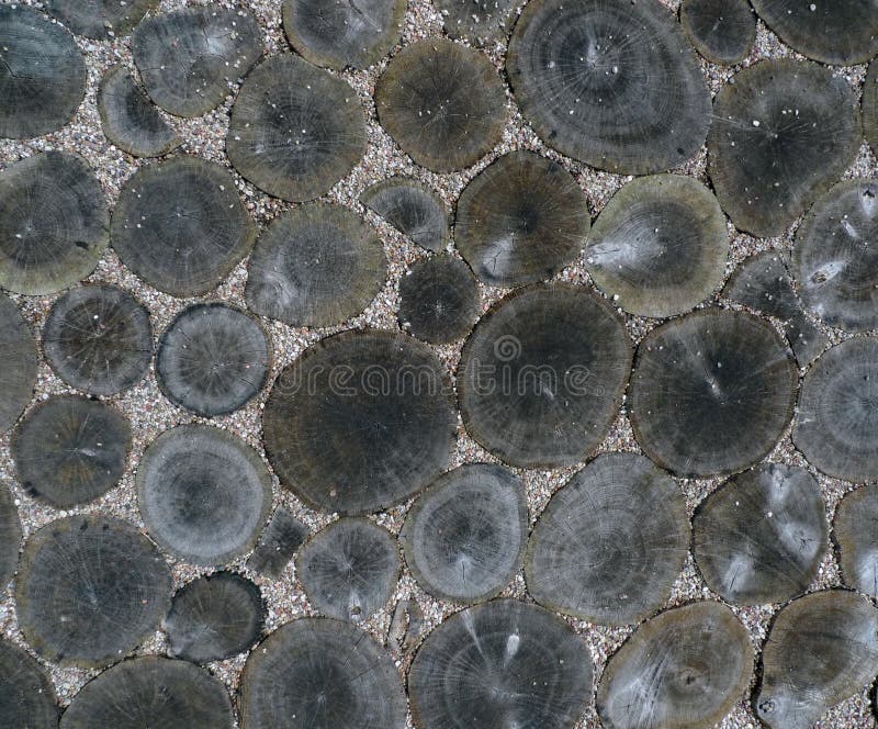 Wooden pavement stock photo. Image of pedestrian, balk - 10360192