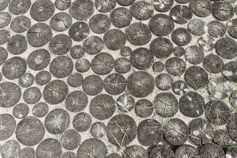 Wooden pavement. stock image. Image of sand, sidewalk - 20925967