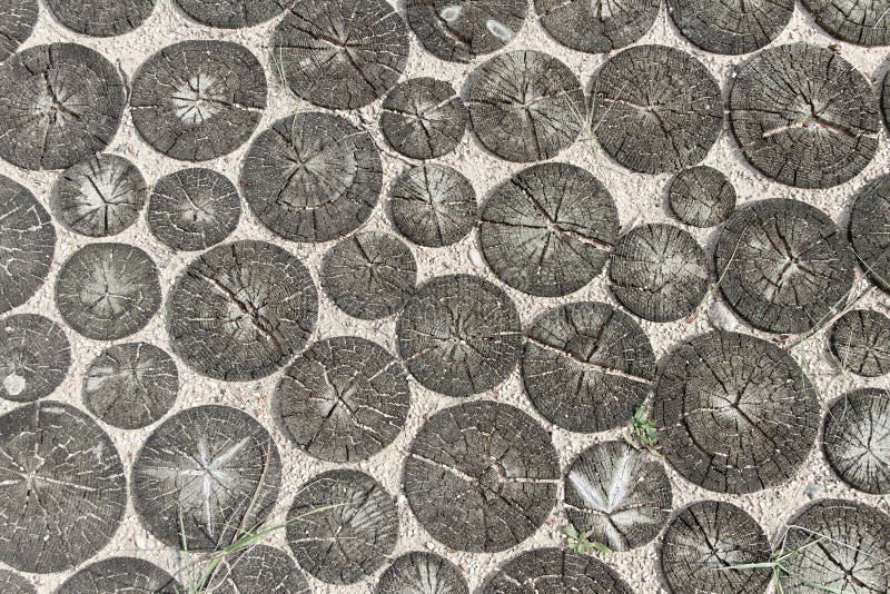 Wooden pavement. stock photo. Image of route, park, sidewalk - 20926064