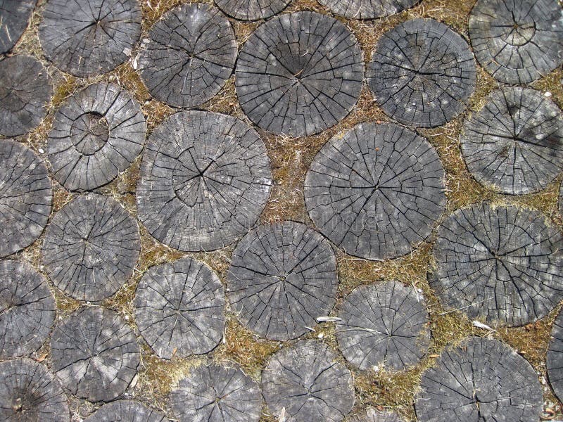 Wooden pavement stock image. Image of natural, pavement - 42697869