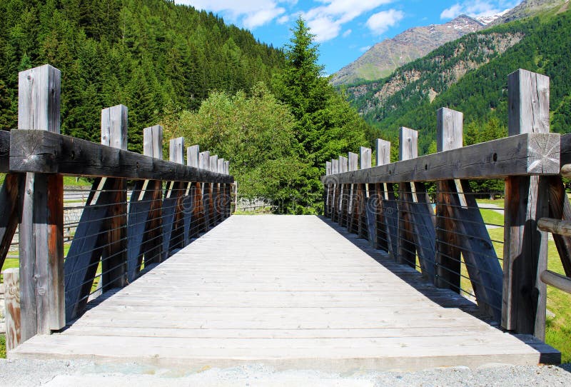 Wooden Pedestrian Bridge in the Forest Seen in Frontal Perspective ...