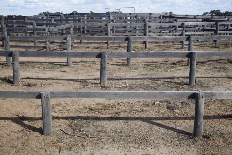 Wooden Pens From Cattle Ranch Stock Photo - Image of timber, fence ...