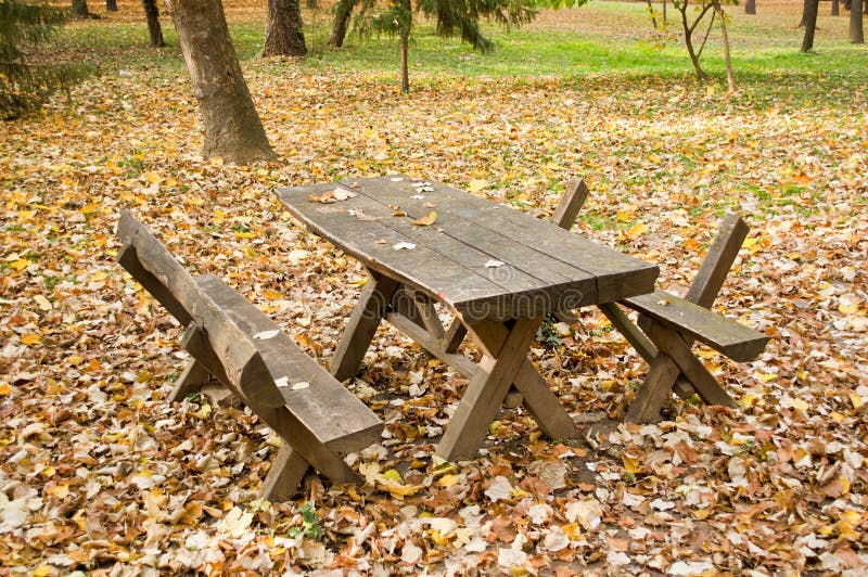 Wooden Picnic Table and Bench in Autumn Forest Stock Image - Image of ...