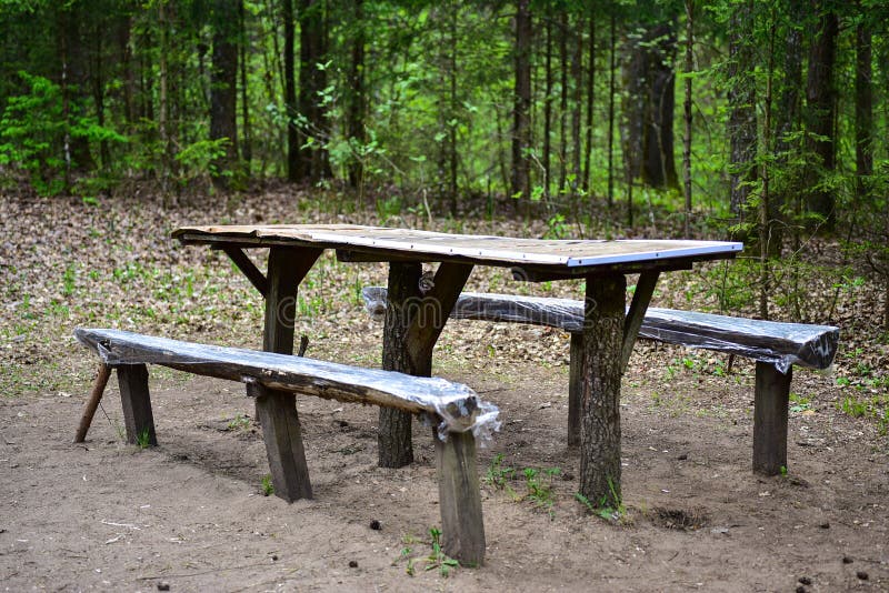 Wooden Picnic Table in the Forest Stock Image - Image of tourism, leaf ...