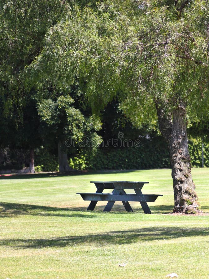 Wooden Picnic Table Under a Tree in a Park Stock Image - Image of fall ...