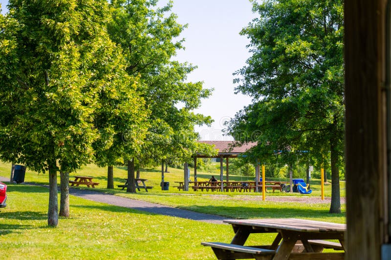 Wooden Picnic Table Under Trees in a Sunny Park on a Warm Day Stock ...