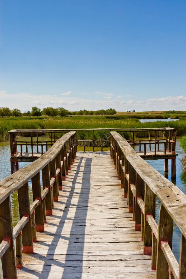 Wooden pier stock image. Image of park, pier, outside - 20045775