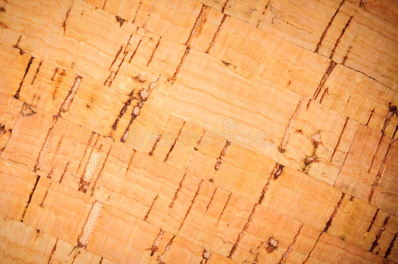 Wooden pith a texture stock photo. Image of cork, floor - 42876218