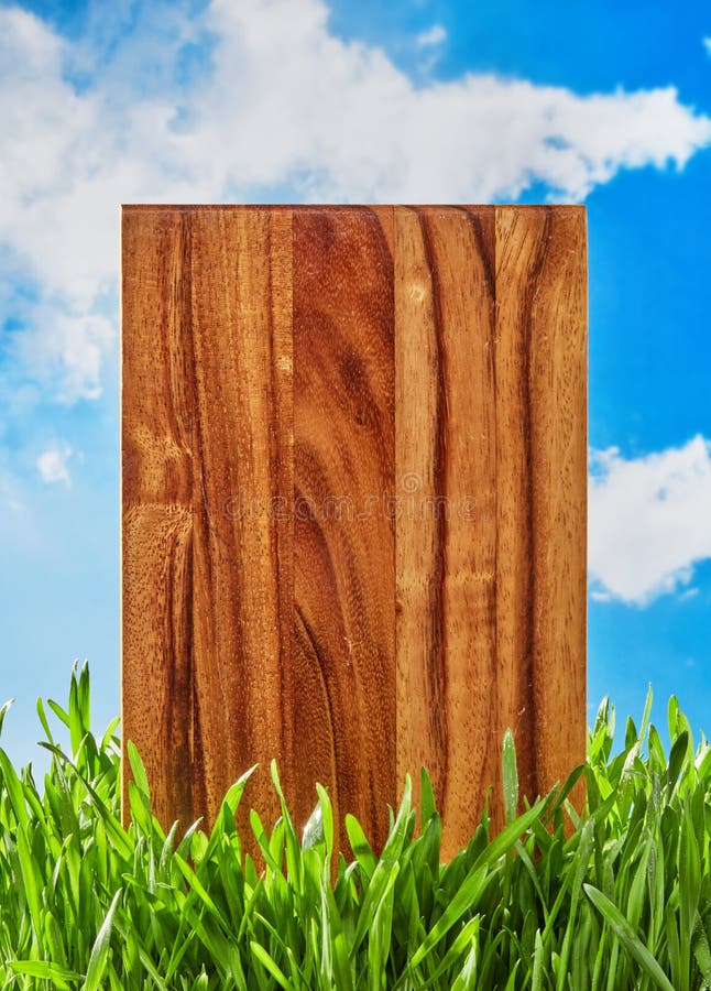 Wooden placard a arrow stock photo. Image of blank, plank - 30081566