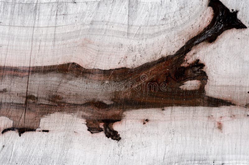 Wooden Plank. Cut a Tree. the Core of a Tree Trunk. Slab Cut, Cut. Bark ...