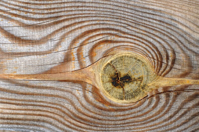 Wooden plank with knot stock photo. Image of floor, twig - 87581738