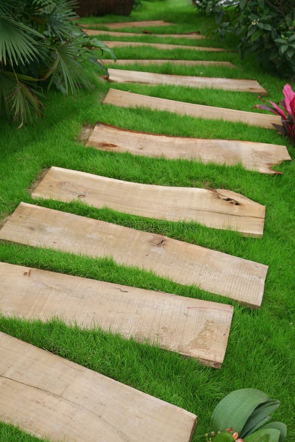 Wooden plank path stock image. Image of colors, outdoor - 2394431