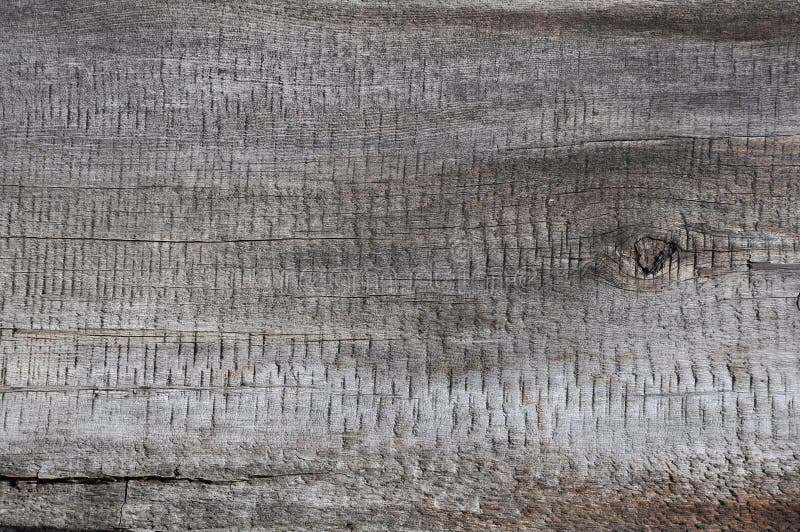 Wooden plank texture stock image. Image of brown, growth - 98237895