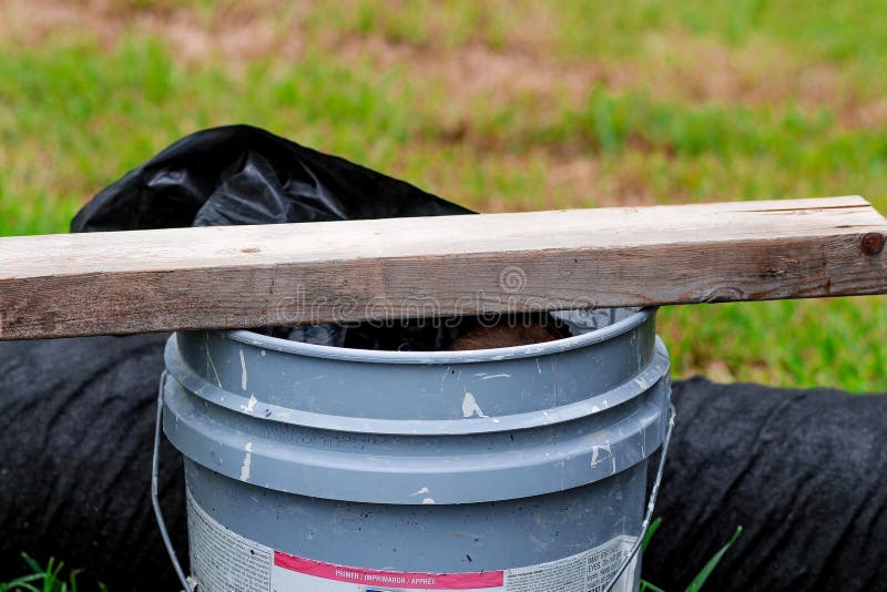 Wooden Plank on Top of a Metal Bucket Stock Photo - Image of container ...