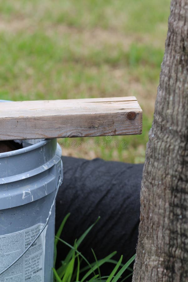 Wooden Plank on Top of a Metal Bucket Stock Photo - Image of bucket ...