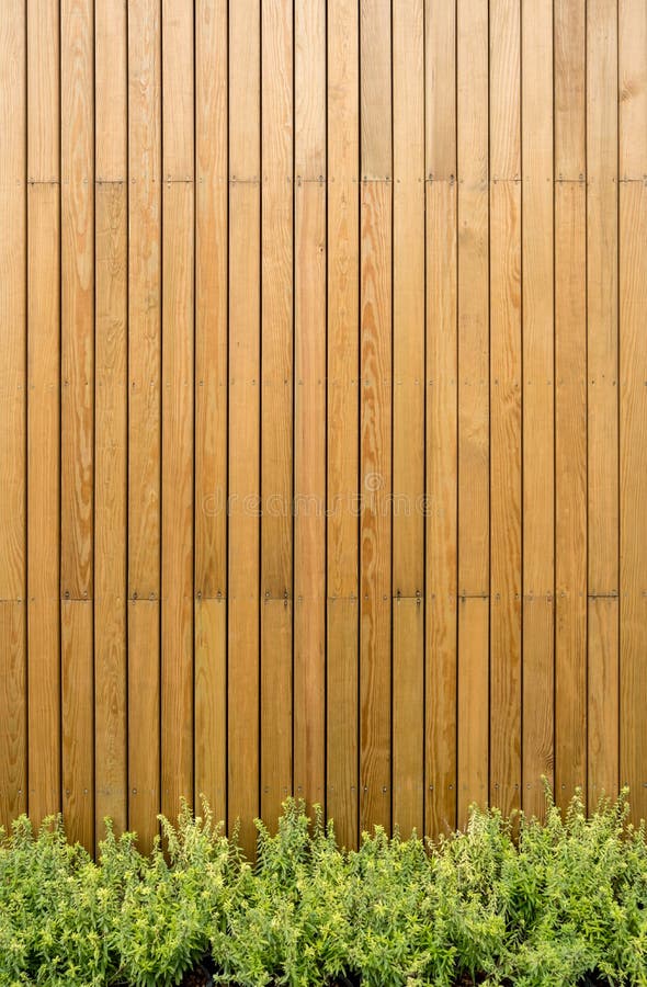Wooden Plank in Vertical Pattern with Green Tree Stock Image - Image of ...