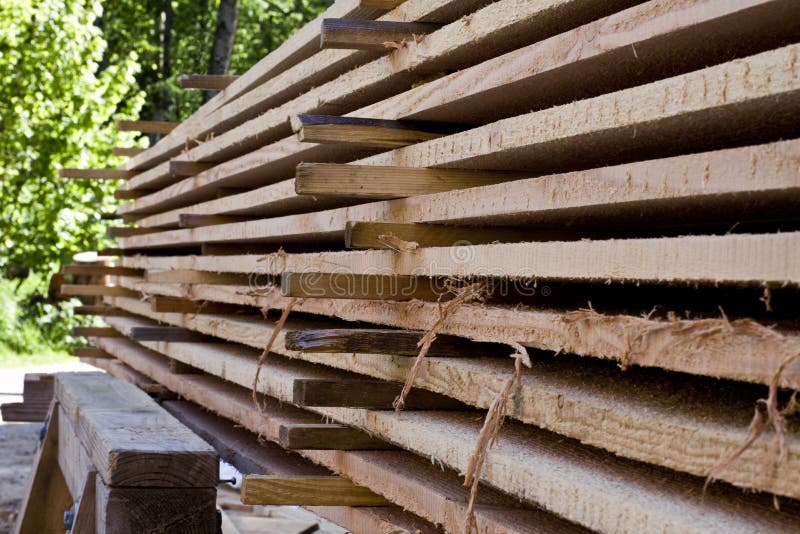 Wooden planks stock photo. Image of grain, natural, activity - 21044464