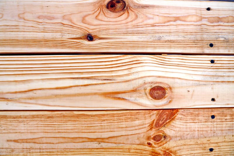 Wooden Planks and Sectional Tree Structure Used As a Base and ...