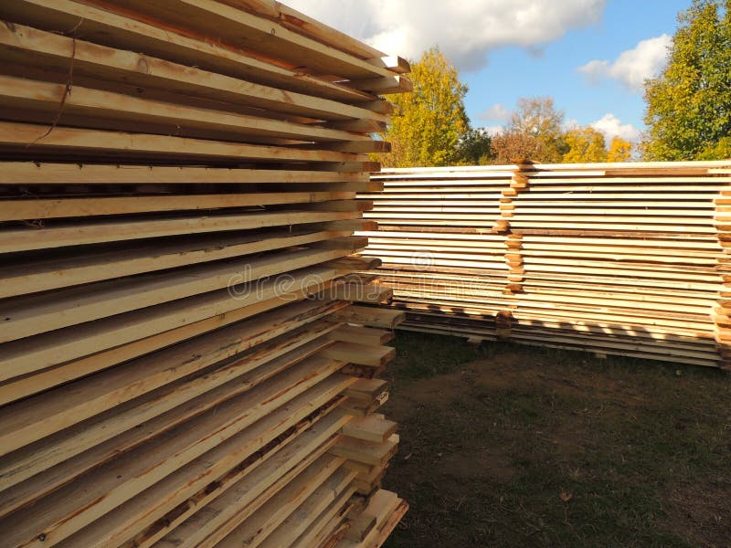 Wooden Planks Stacked in Rows Lie Against a Backdrop of Trees and Sky ...