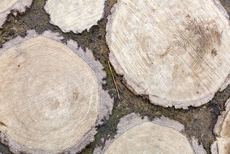 Wooden planks. Texture stock image. Image of pattern - 91500647