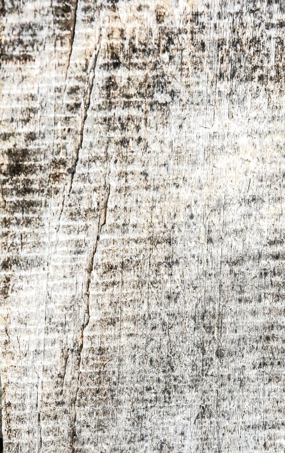 Wooden Planks. Weathered Texture Background Stock Photo - Image of ...