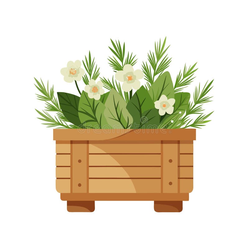 Wooden Planter Box with Flowers and Foliage Illustration on White Stock ...
