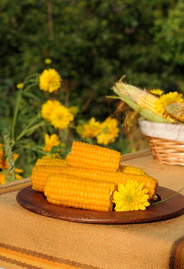 Wooden Plate with Boiled Corn. Stock Photo - Image of organic ...