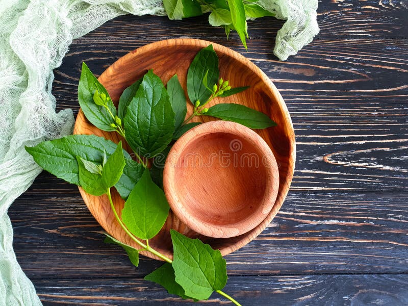 Wooden Plate, Green Branch Decorative Design on Wooden Background Stock ...