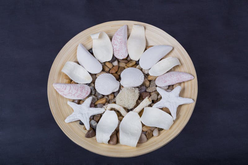 Wooden plate with shells stock image. Image of stones - 39932593