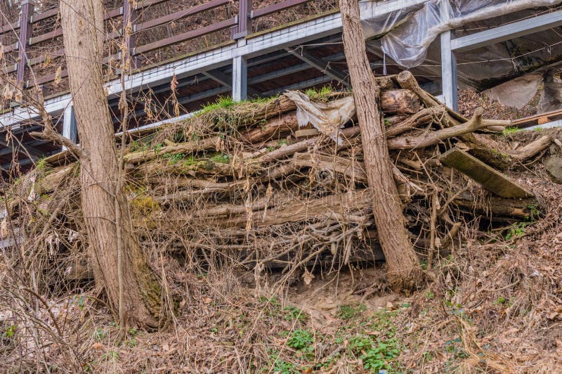 Wooden Platform Built by Stacking Fallen Tree Branches Stock Photo ...