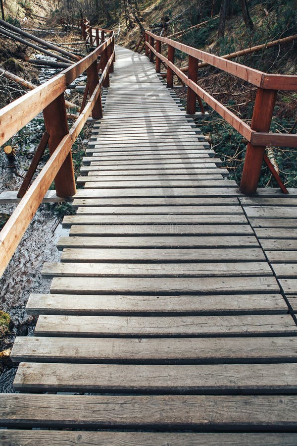 Wooden Platform in the Forest Stock Image - Image of patagonia, outdoor ...
