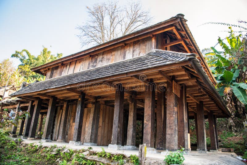 Wooden Platform in Lush Greenery Surrounded by Trees Stock Image ...