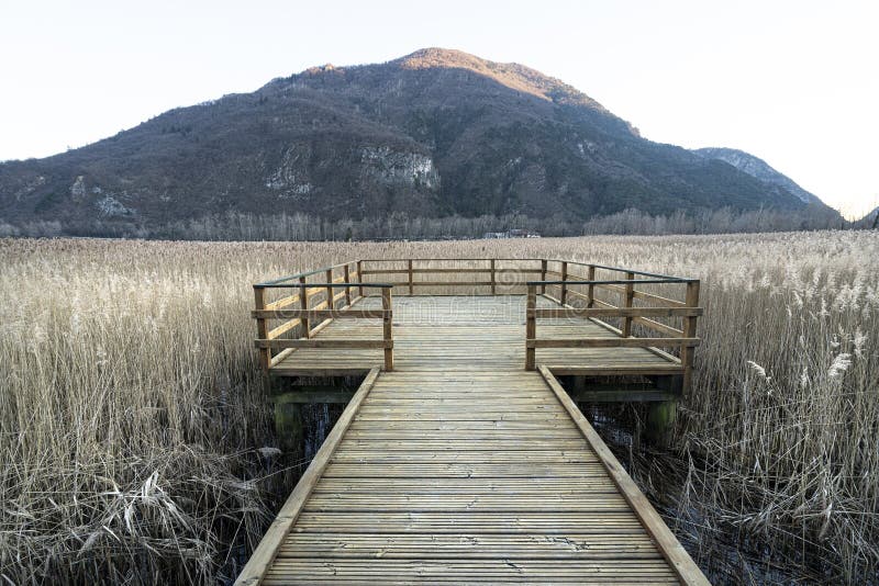 A wooden platform stock photo. Image of footbridge, nature - 168476740