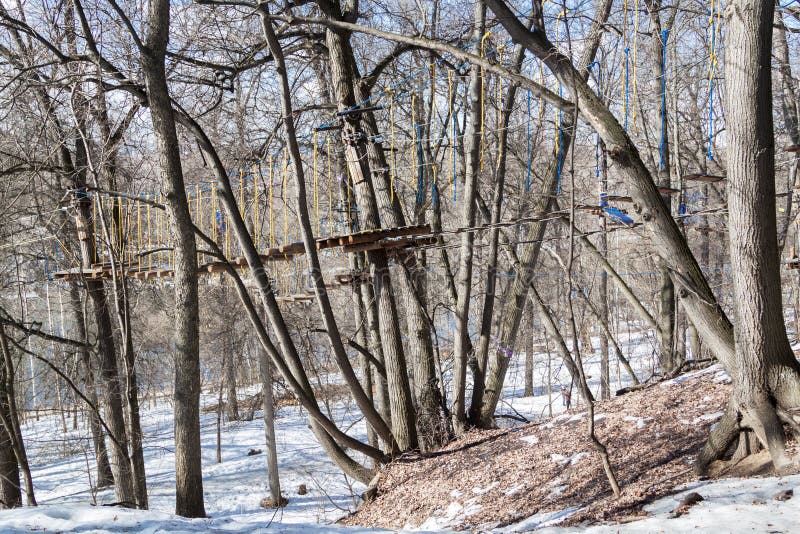 Wooden Platform on Tree in Rope Climb Park in Spring Forest. Wooden ...