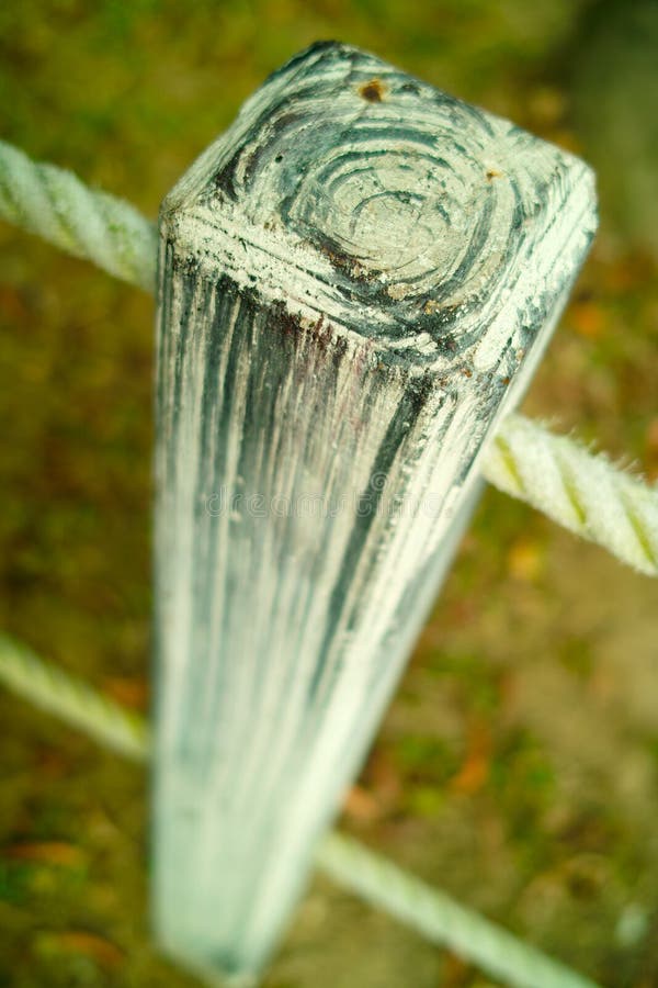 Wooden Pole Made of Tree Stump Poking Out of Water Surrounded with ...