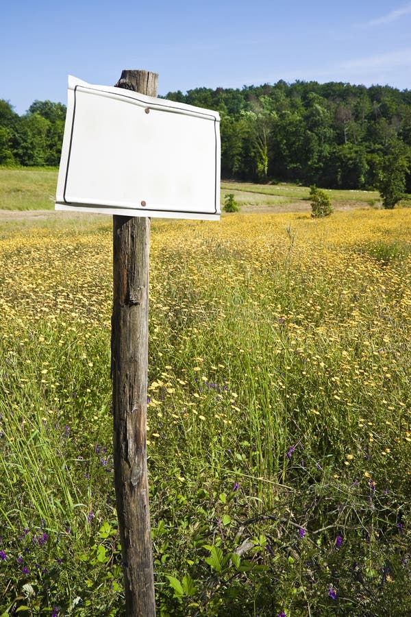 Wooden Pole on a Green Field with Blank Sign Indicating - Image with ...