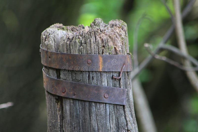 Wooden pole on the path stock image. Image of path, flower - 276985309