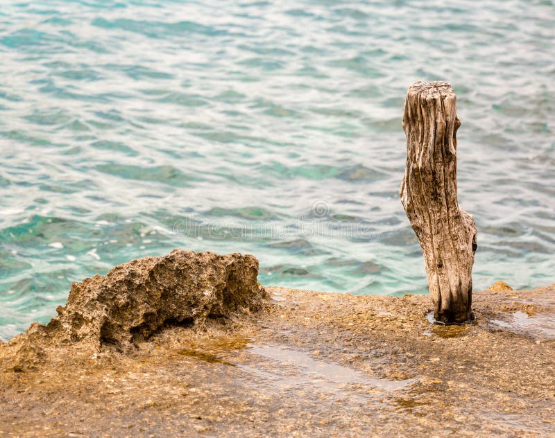 Wooden pole on the seaside stock photo. Image of shore - 41813266
