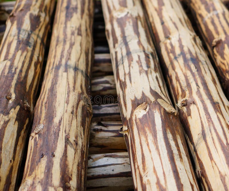 Wooden poles stock photo. Image of stacked, objects, group - 37167408