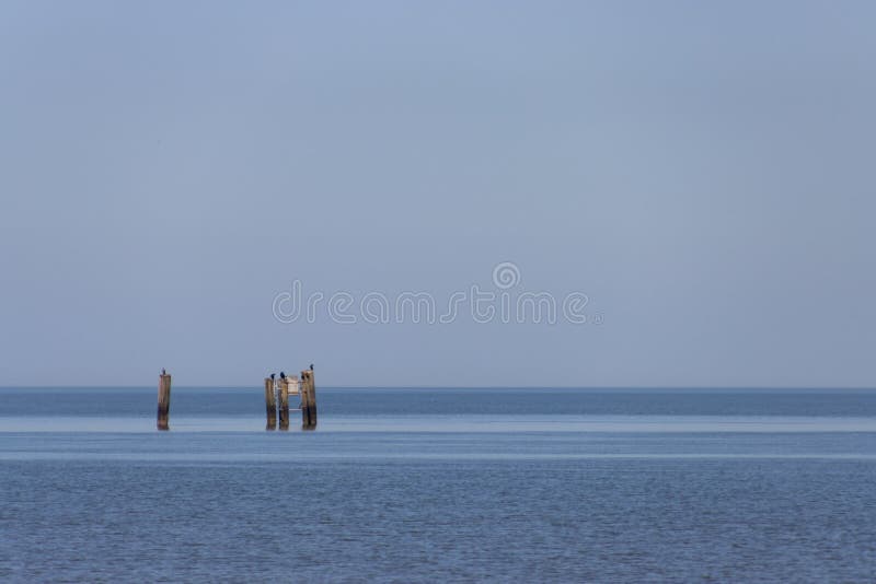 Wooden poles in the ocean stock photo. Image of scene - 259646370