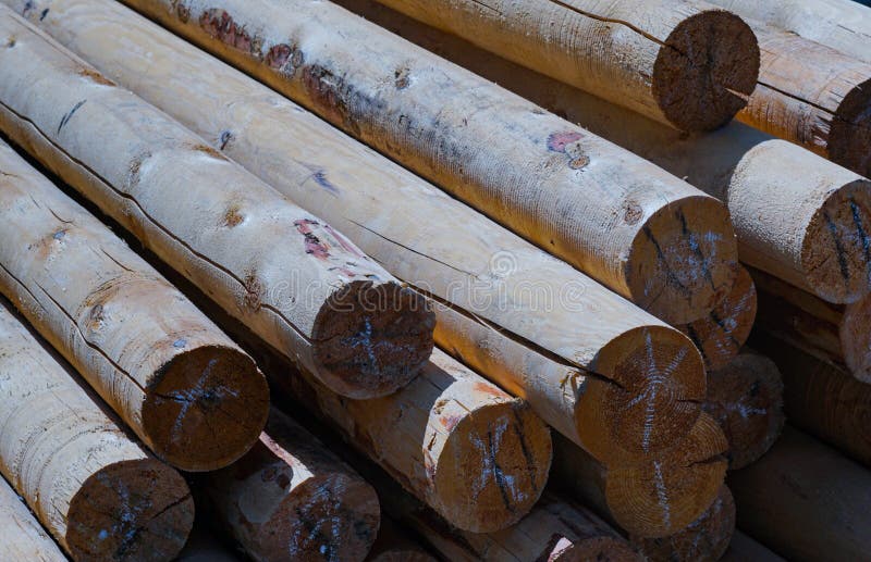 Wooden Poles Stand on the Ground Stock Image - Image of pile, wooden ...