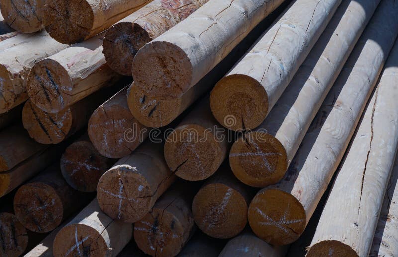 Wooden Poles Stand on the Ground Stock Photo - Image of texture, wood ...