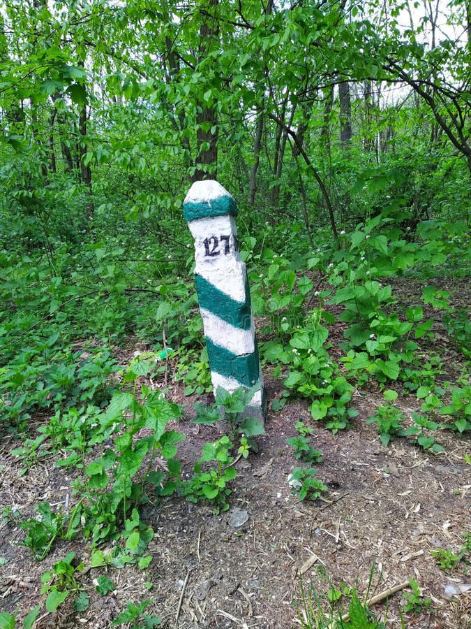 Wooden Post of Forestry in Spring Forest Stock Image - Image of nature ...