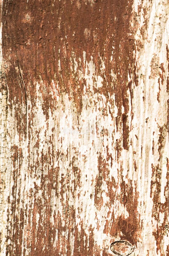 Wooden Post with Peeling Paint Stock Photo - Image of decay, planking ...